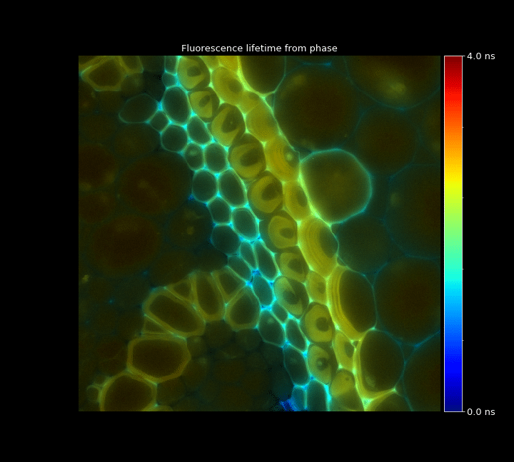 Fluorescence Lifetime Imaging Microscopy (FLIM) Camera Fluorescence Lifetime Imaging Microscopy (FLIM) Camera
