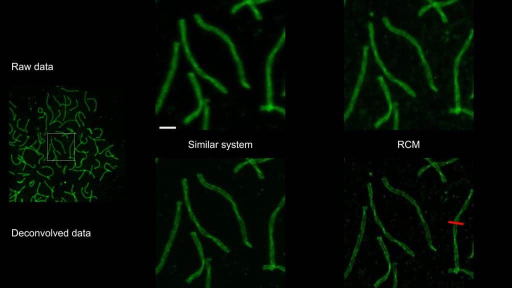 RCM1 | Laser-Scanning Confocal Microscope / Add-On