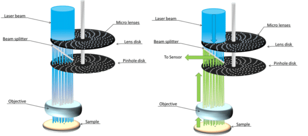 Confocal Microscopy Applications | Axiom Optics.