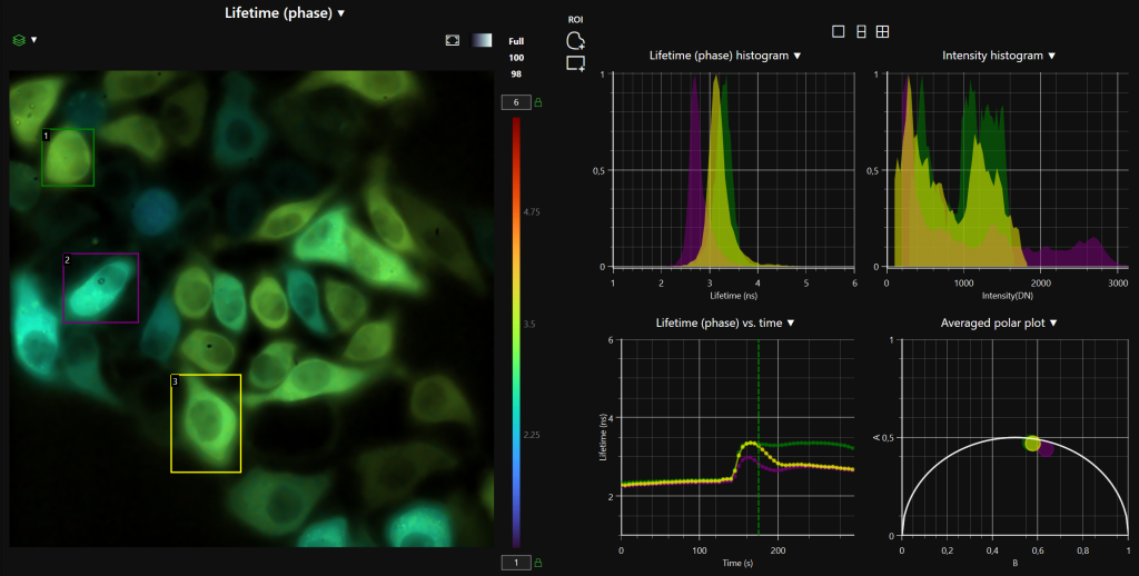 Fluorescence Lifetime Imaging Microscopy (FLIM) | LIFA vTau
