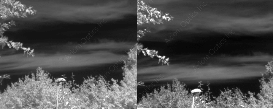 Goldeye XSWIR (VGA, QVGA) | Extended SWIR InGaAs cameras | Axiom Optics