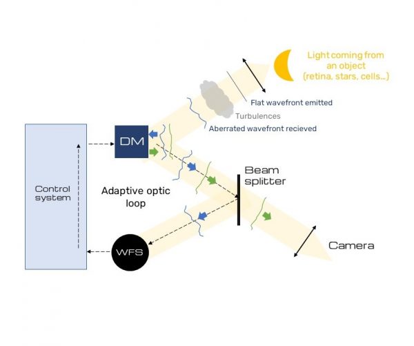 From Blur to Clarity, a Deep Dive into Adaptive Optics
